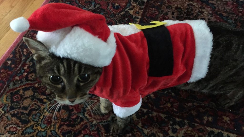 Happy Winter Solstice! | scenarIO STUDiOS